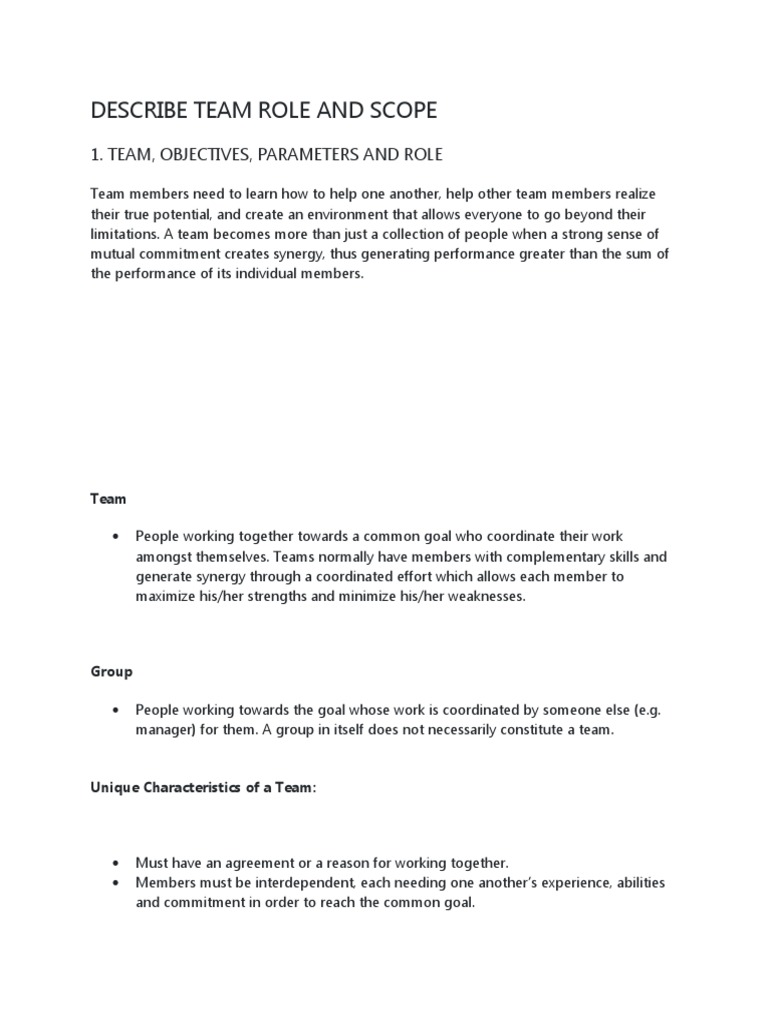Describe Team Role and Scope | PDF | Psychological Concepts | Cognition