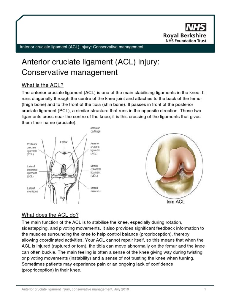 ACL Injury Conservative Management - Jul19 | PDF | Knee | Limbs (Anatomy)