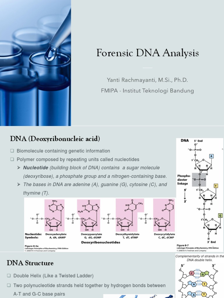 Forensic DNA Analysis | PDF | Microsatellite | Dna