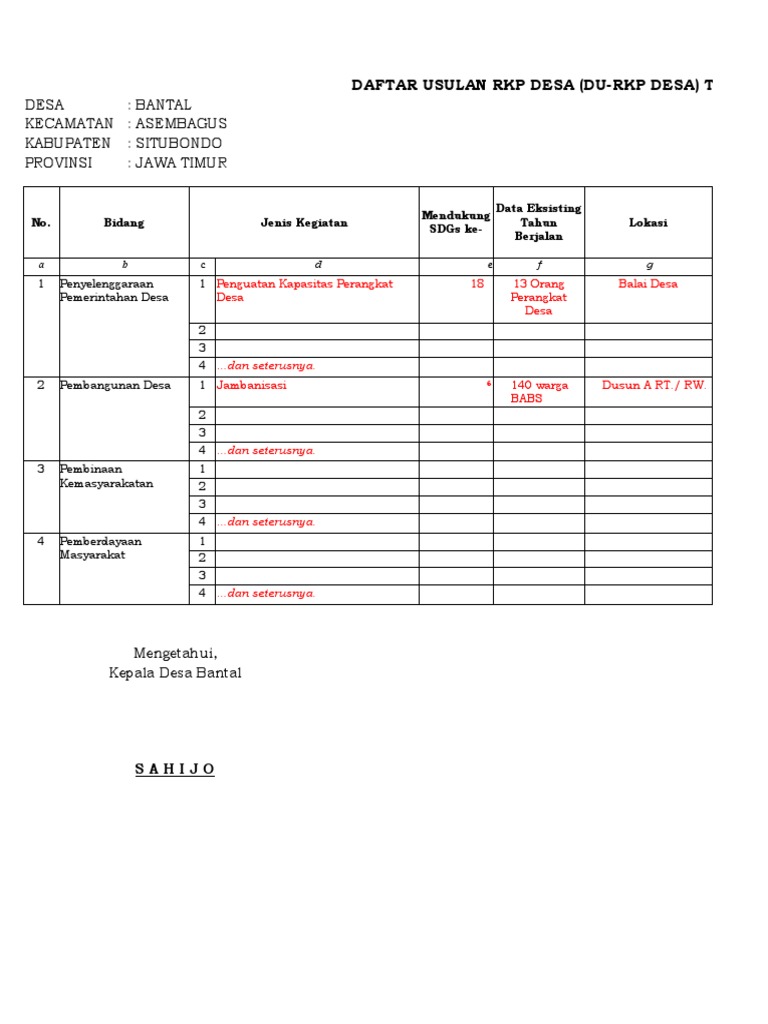 14 Format DU-RKP Desa | PDF