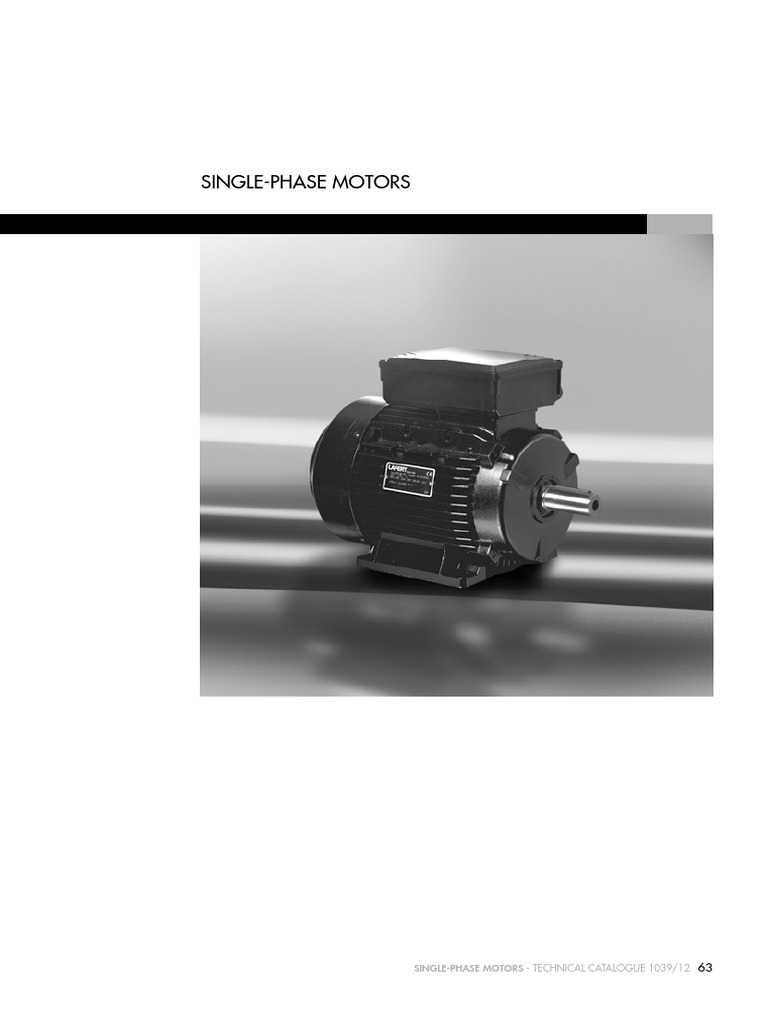 AEG Single-Phase Motor Connection Guide | PDF | Electric Motor | Capacitor