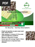 Zimbabwe Crop Planting Calendar | PDF | Cooking, Food & Wine | Science ...
