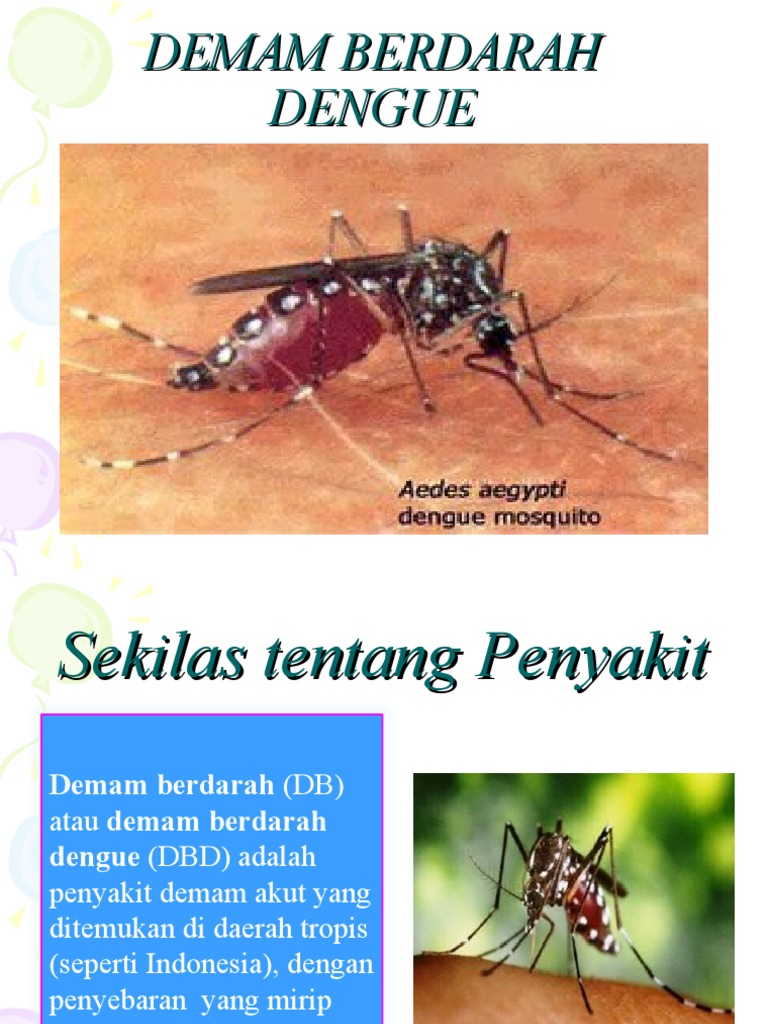 Penyuluhan DBD | PDF