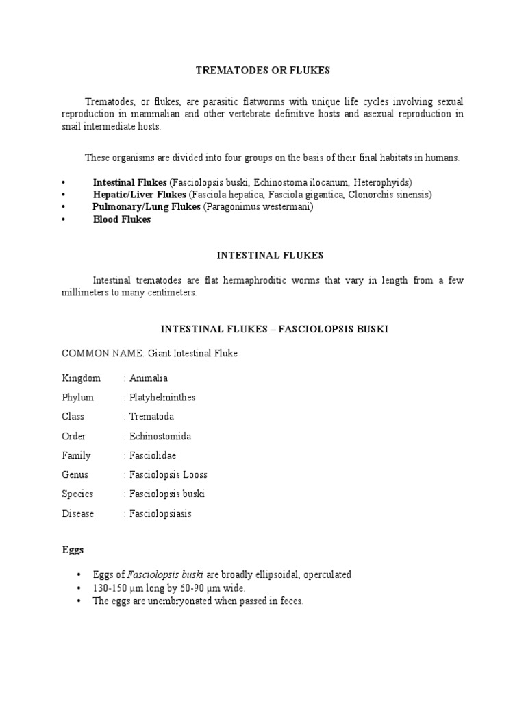 Trematodes - Intestinal Flukes (Banano) | PDF | Medical Specialties ...