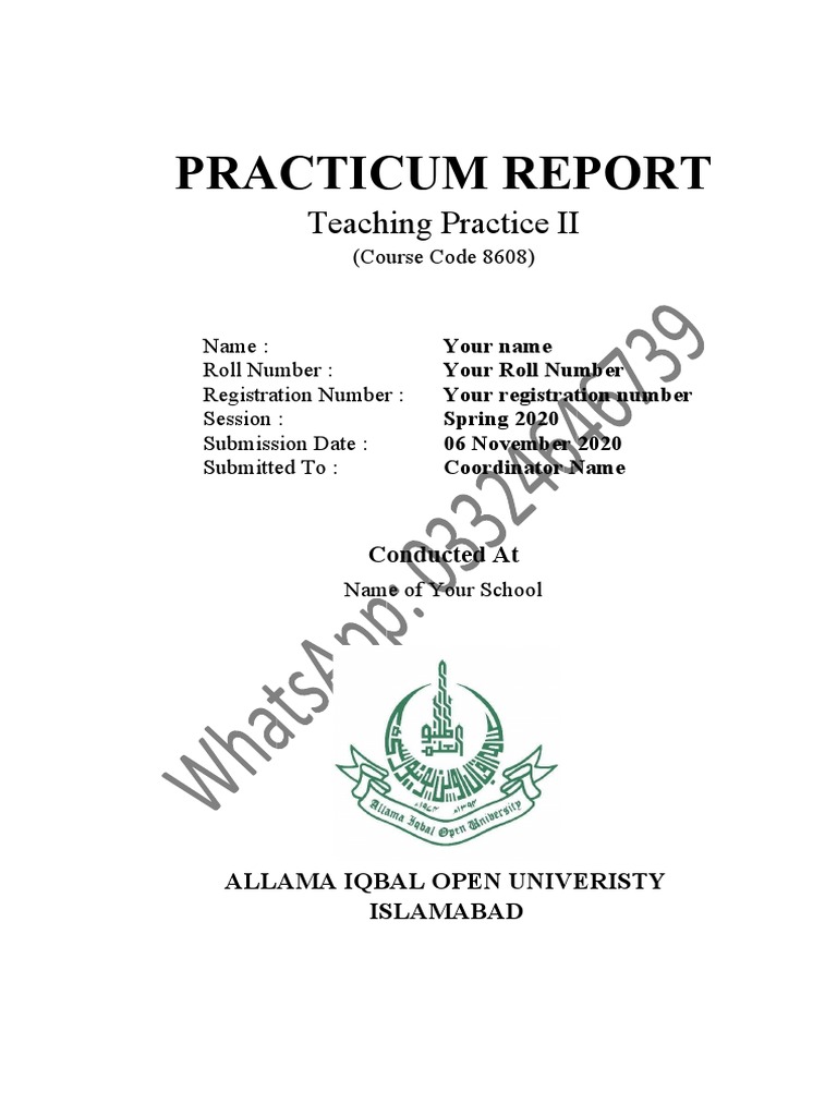 8608 Practicum Report | PDF | Teachers | Schools