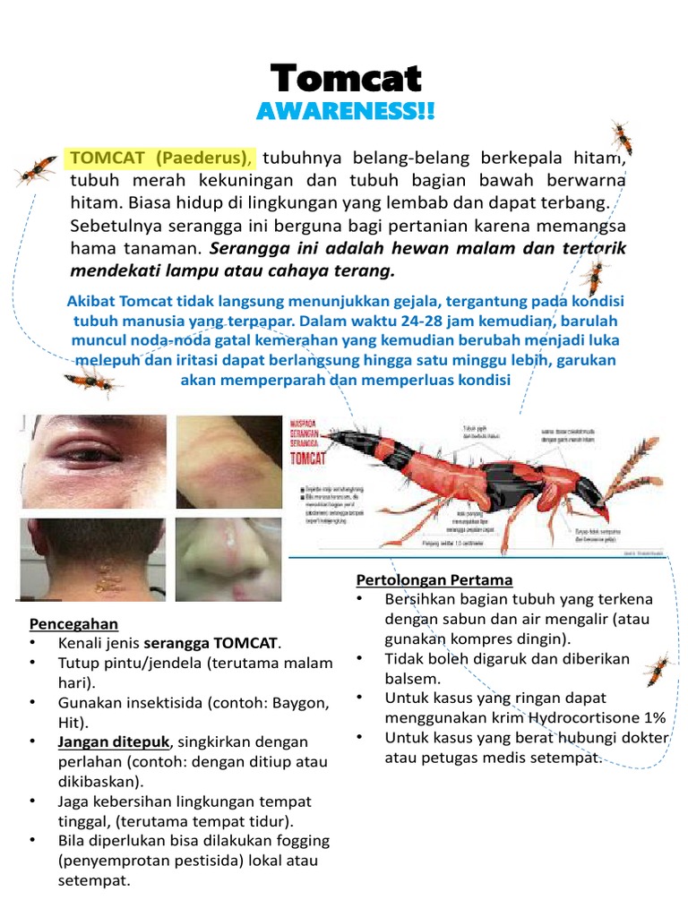 Pencegahan dan Pertolongan Tomcat | PDF