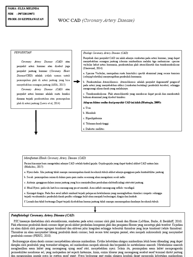 Woc Cad LP | PDF
