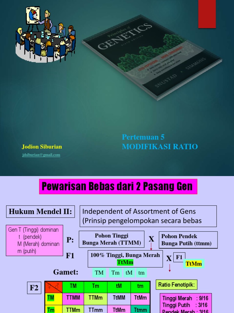 4.pengembangan Genetika Mendel I Dan II (Intermediate, Kodominan ...