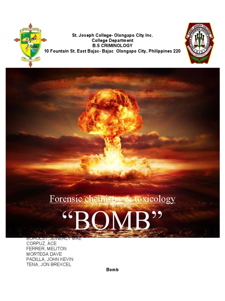 Bomb | PDF | Bomb | Fuze