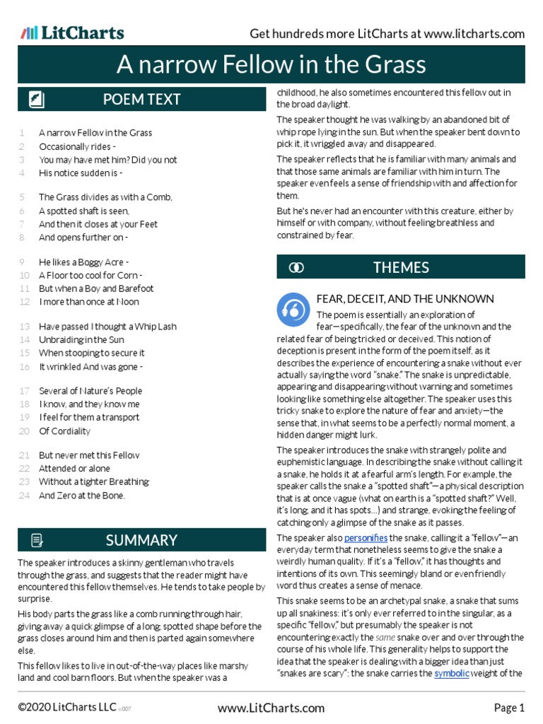 A Narrow Fellow in The Grass by Emily Dickinson | PDF | Metre (Poetry ...