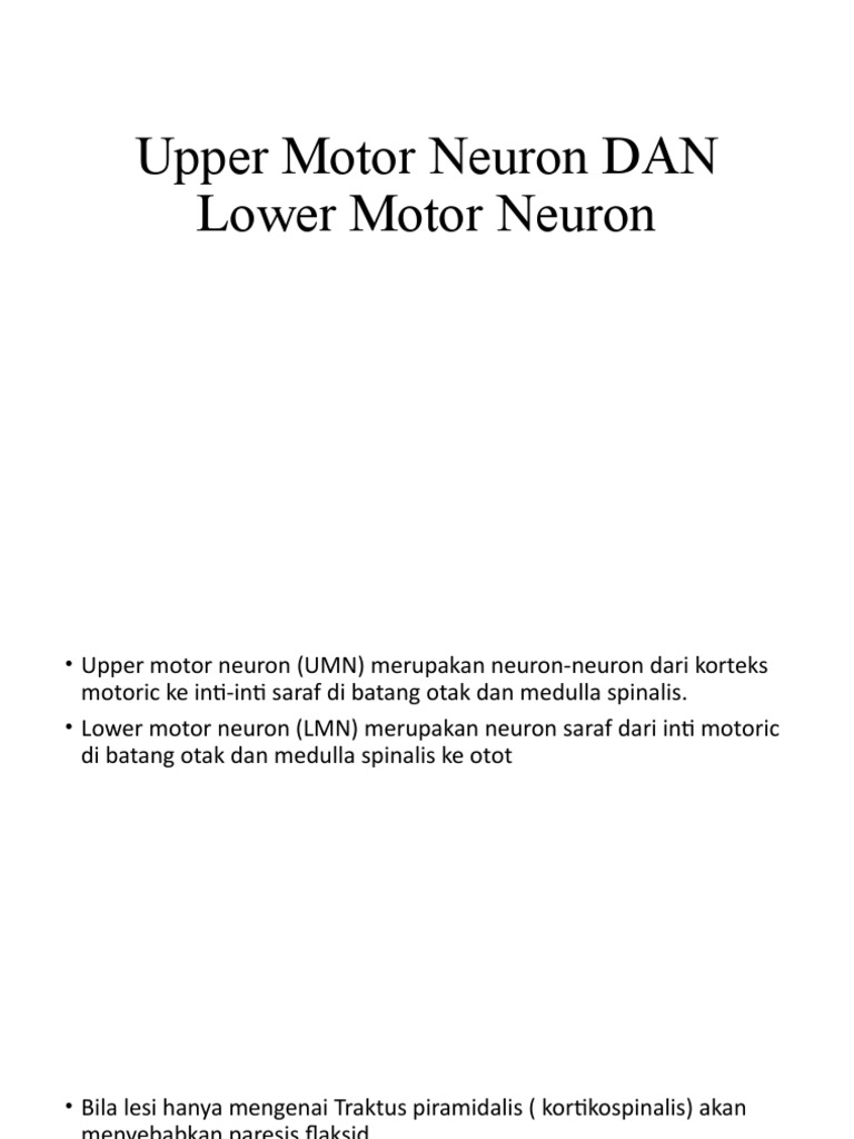 UMN Dan LMN | PDF