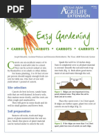Carrots | PDF | Carrot | Agriculture
