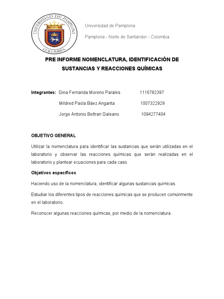 Pre Informe Nomenclatura | PDF | Ácido clorhídrico | Química