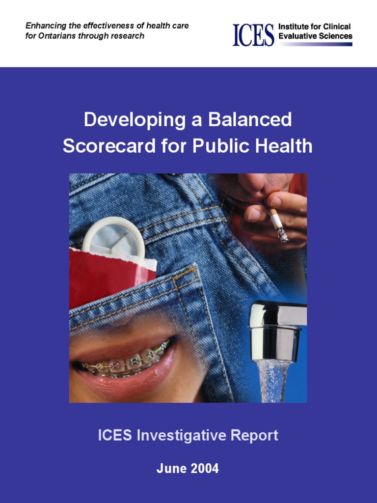 Full Report | PDF | Public Health | Health Care