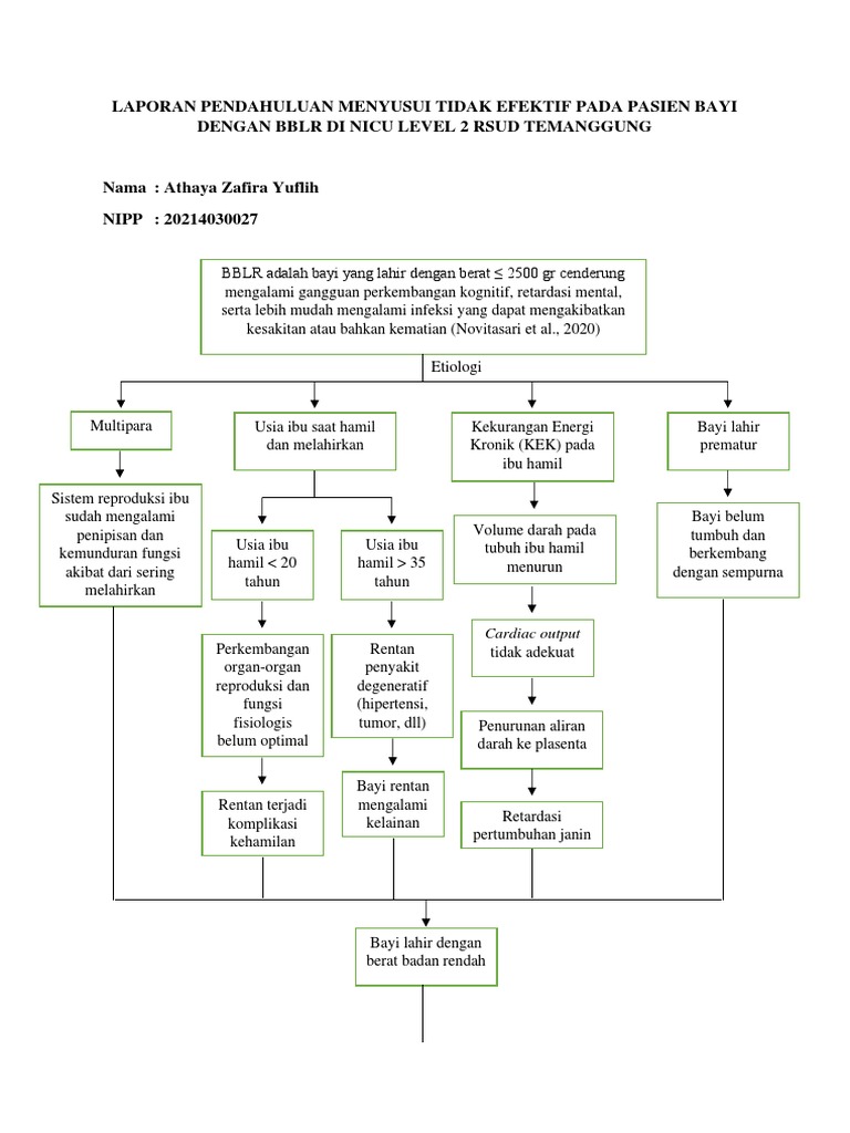 Laporan Pendahuluan Menyusui Tidak Efektif Pada Pasien Bayi Dengan BBLR ...