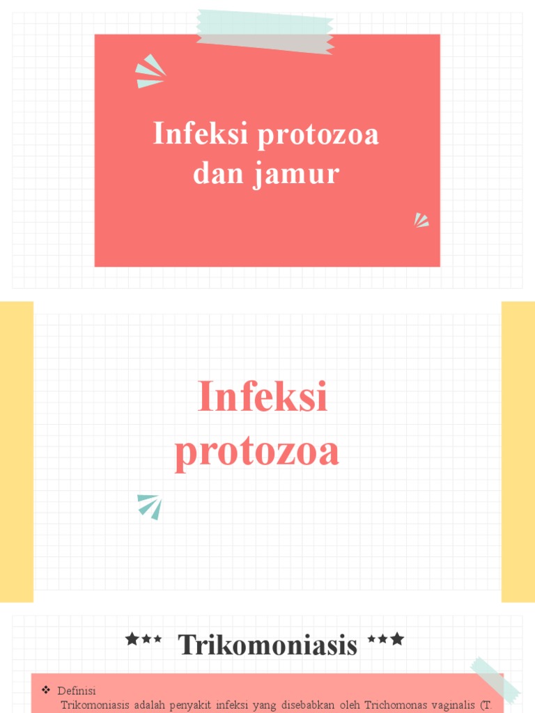 Infeksi Protozoa Dan Jamur | PDF