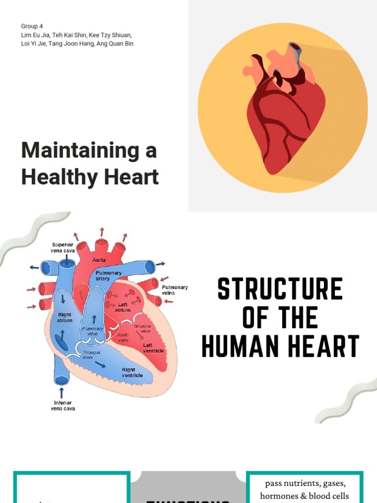 SCIENCE PBL 2 - Maintaining A Healthy Heart | PDF | Heart | Heart Rate