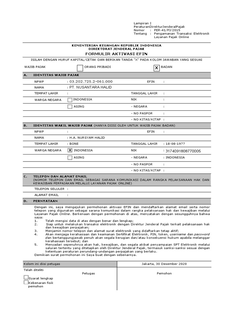 Aktivasi EFIN Pajak Online | PDF