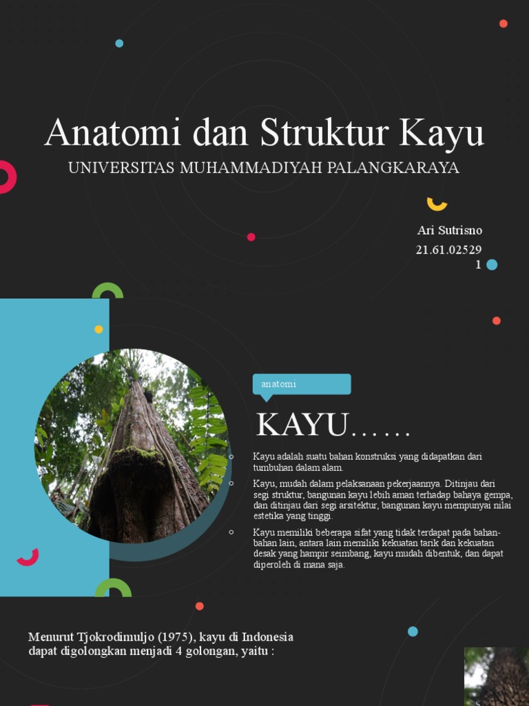 Struktur dan Sifat Kayu dalam Konstruksi | PDF