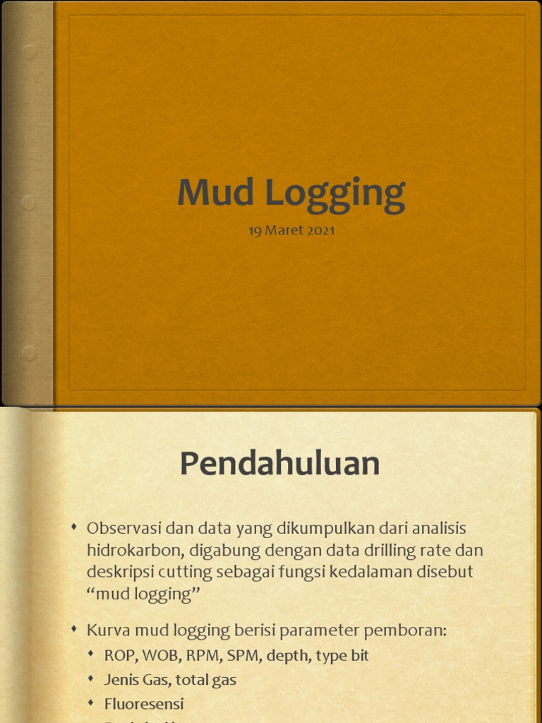 Mud Logging | PDF | Sandstone | Geology