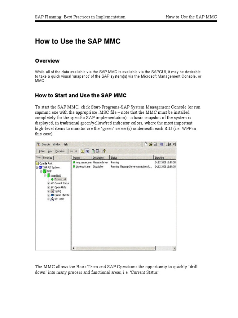 How To Use The SAP MMC | PDF