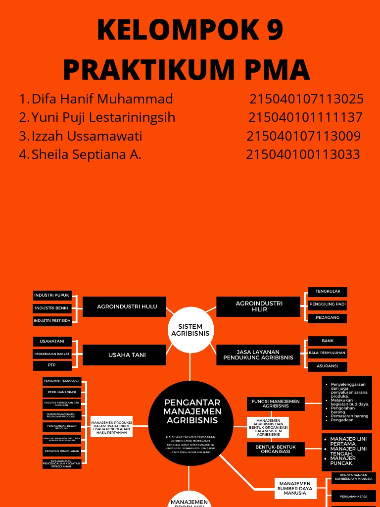 Mindmap Pma | PDF