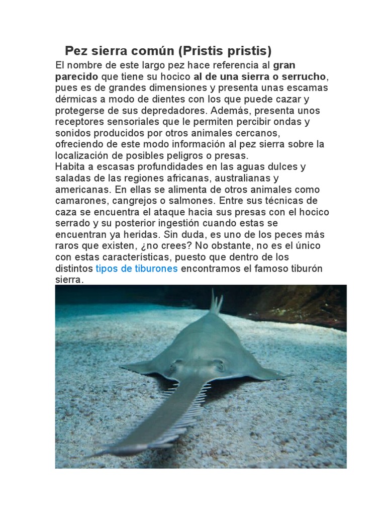 Pez Sierra | PDF | Pescado | Tiburones