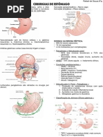 Tórax Tonel, Pectus Carinatum e Pectus Exacavatum | PDF | Doença de ...