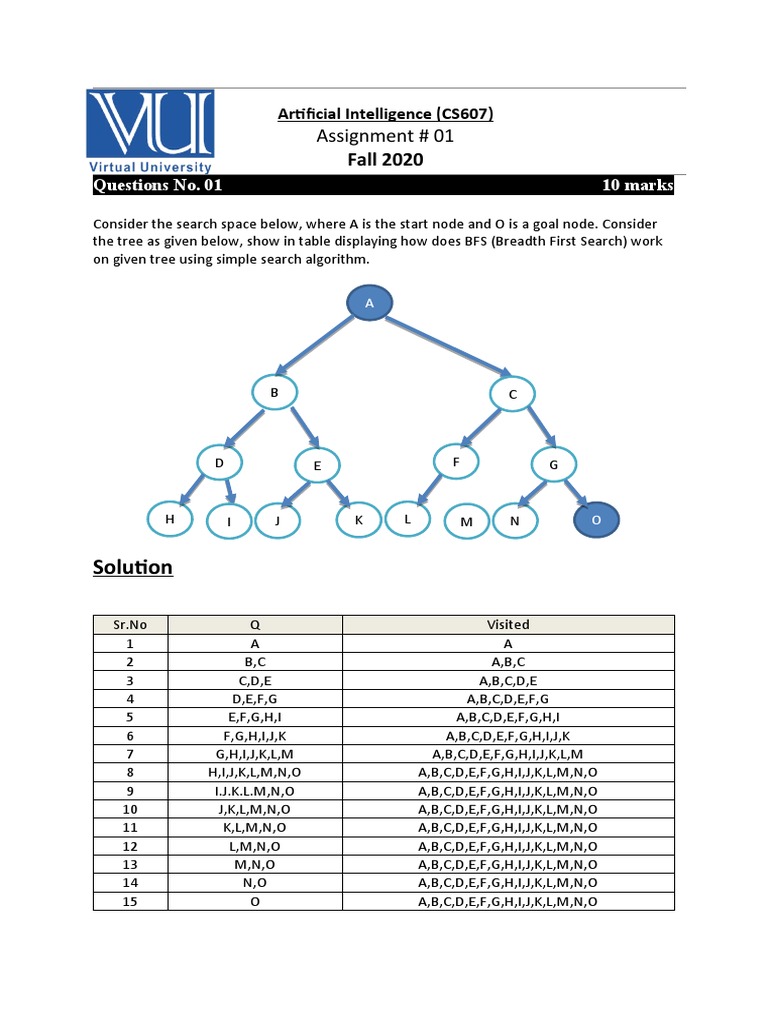 CS607 Assignment No. 1 | PDF