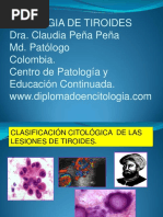 Clasificacion de Bethesda para Tiroides | PDF | Estrógeno | Hormona ...