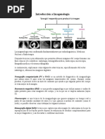 Partes Del Tomografo | PDF | Rayo X | Ct Scan