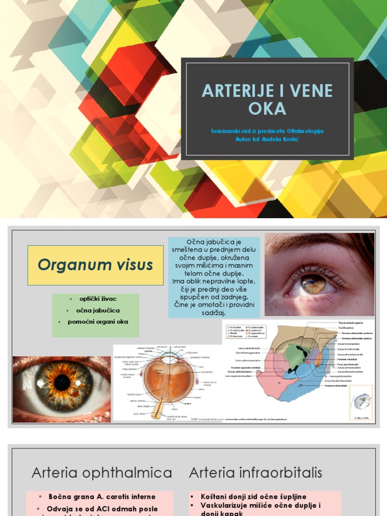 Arterije I Vene Oka | PDF
