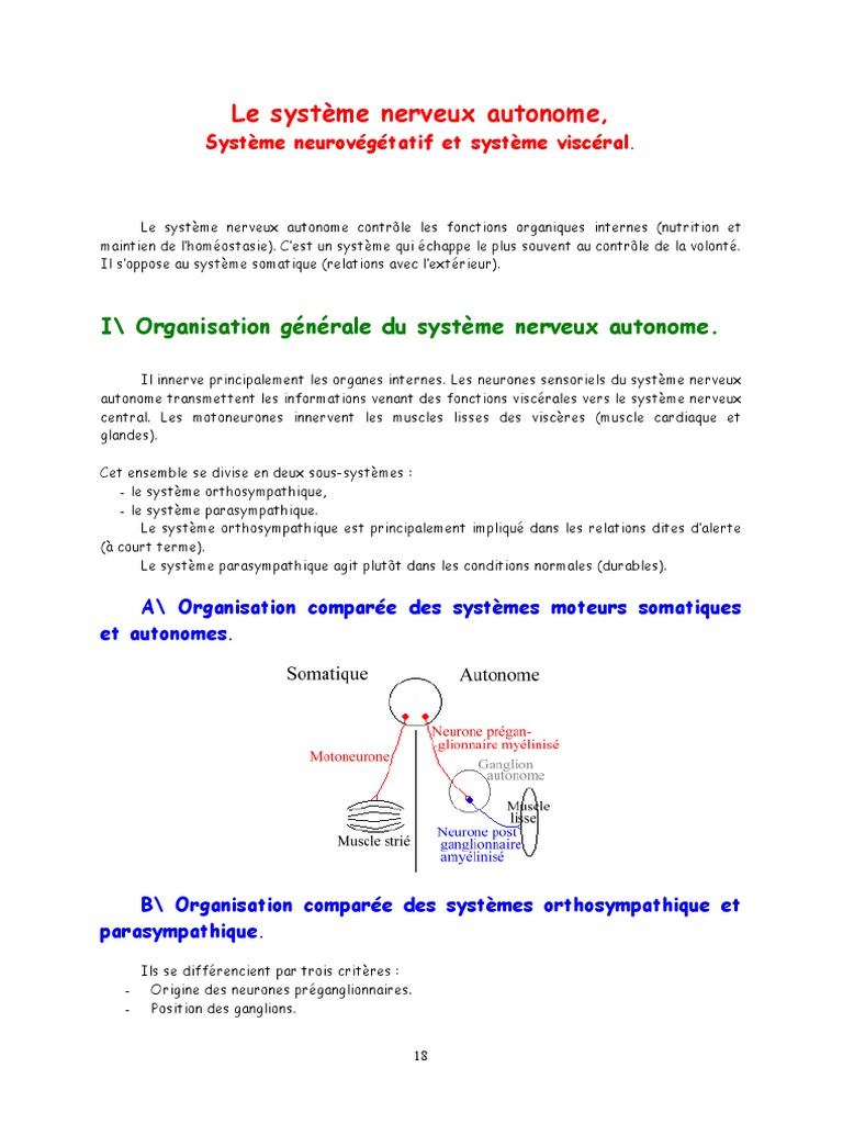 4) Le Système Nerveux Autonome | PDF | Système nerveux autonome ...