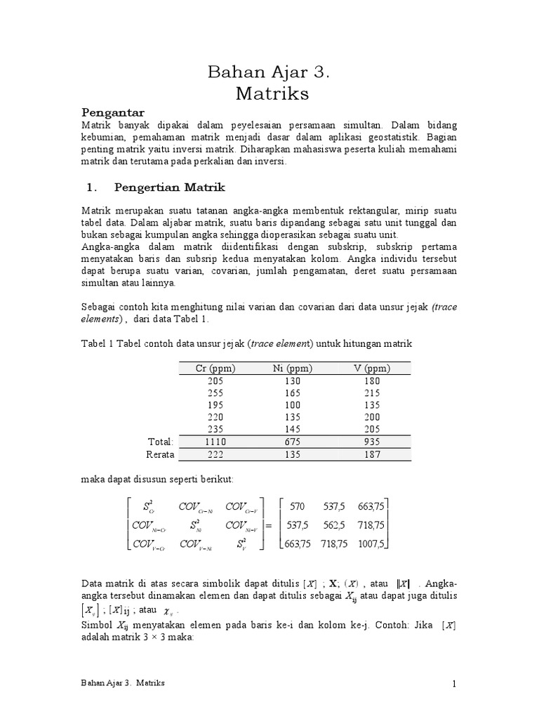 MATRIKS | PDF