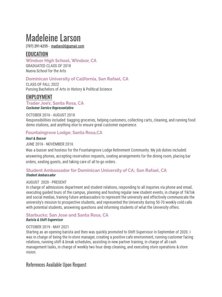 Madeleine Larson's Resume Summary | PDF