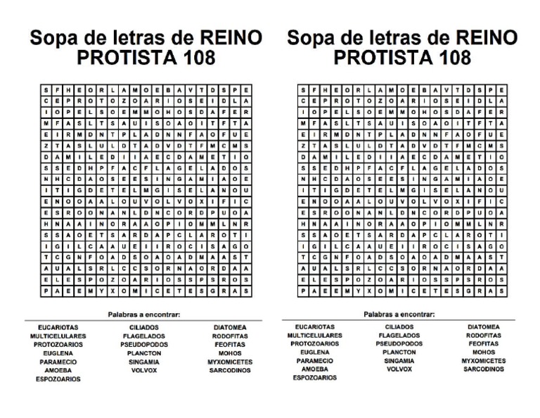 Sopa de Letras Reino Protista | PDF