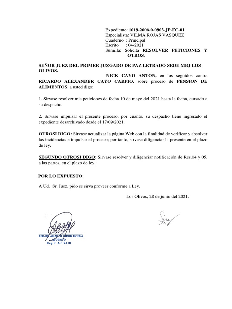 Nick Cayo Anton - Solicita Resolver Peticiones | PDF