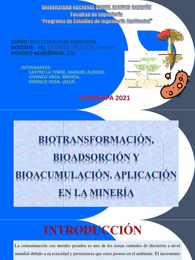 SESION 08 - Bioadsorción, Biotransformación y Bioacumulación G-2 | PDF ...