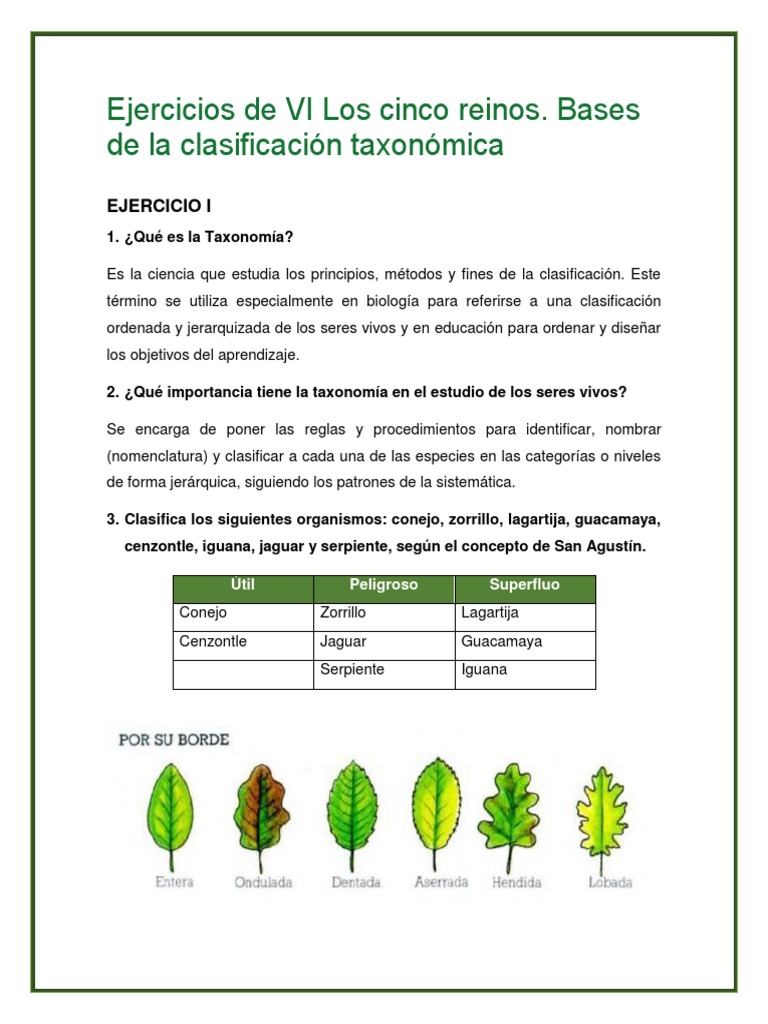 Ejercicios de VI Los Cinco Reinos | PDF | Las bacterias | Hongo