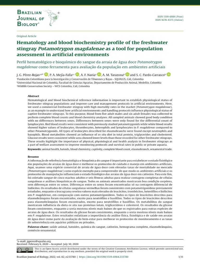 Hematology and Blood Biochemistry Profile | PDF | White Blood Cell ...