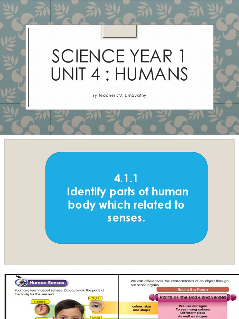 Human Science Year 1 | PDF