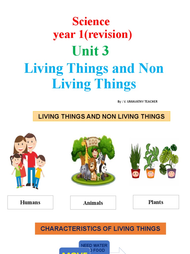 Year 1 Science: Living Things Unit 3 | PDF