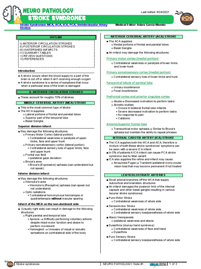 Stroke Syndromes - MCA, ACA, ICA, PCA, Vertebrobasilar Artery S | PDF ...