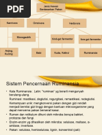 Anatomi Dan Fisiologi Organ Reproduksi Ayam | PDF