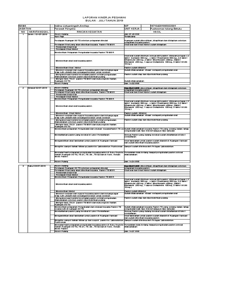 Lapkin Indina November 2020 | PDF