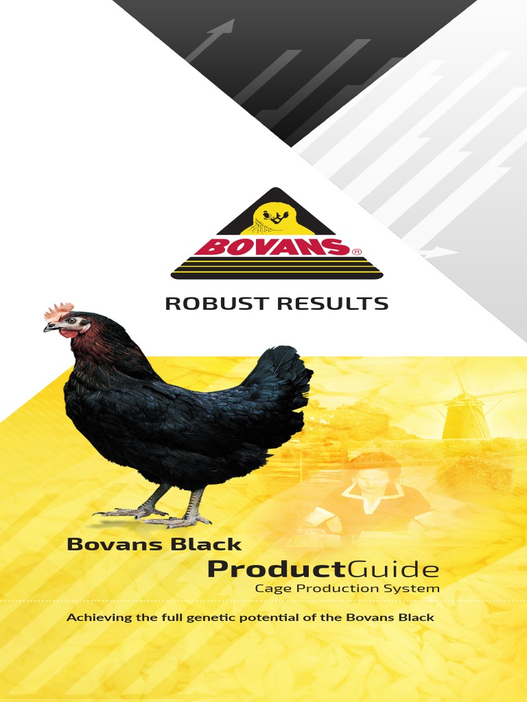 Bovans Black Layer Production Guide | PDF | Chicken | Selective Breeding
