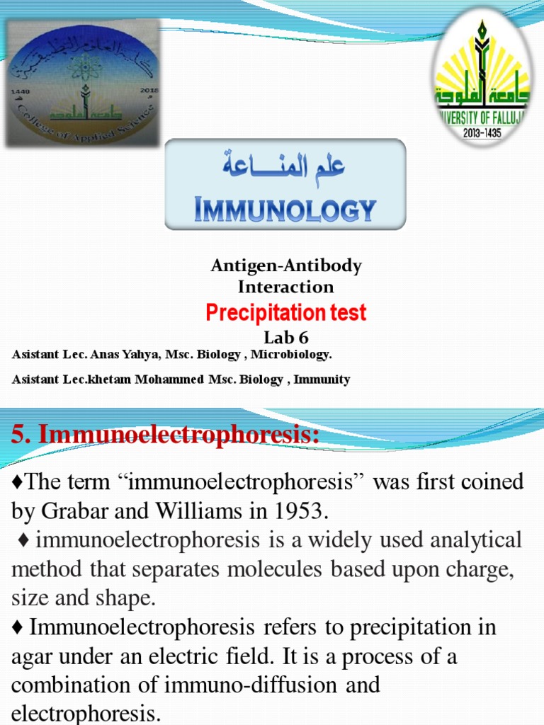 Precipitation Test: Antigen-Antibody Interaction Lab 6 | PDF | Antibody ...