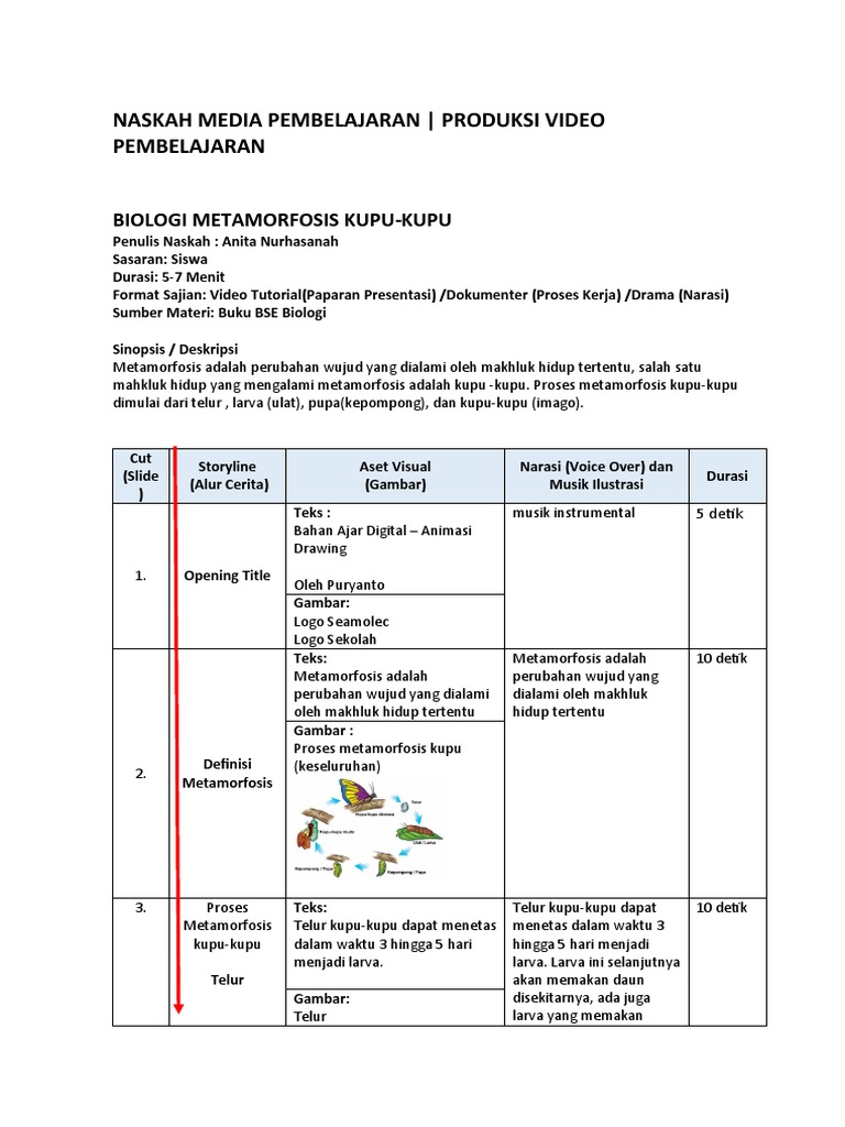 Contoh Storyline - Metamorfosis | PDF