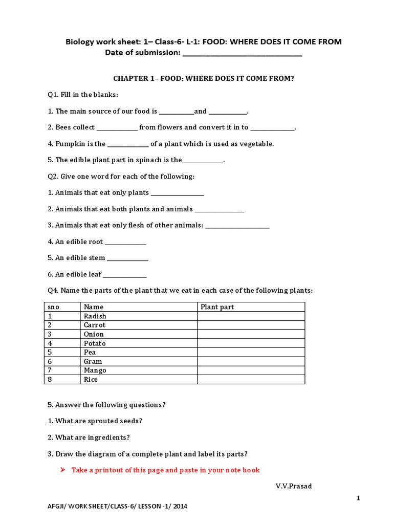 CBSE Class 6 Science - Food Where Does It Come From | PDF | Science ...