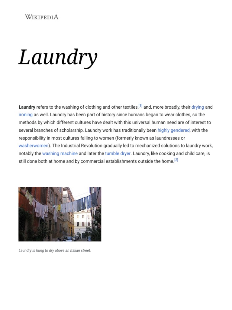 Everything You Need to Know About Laundry | PDF | Laundry | Hygiene